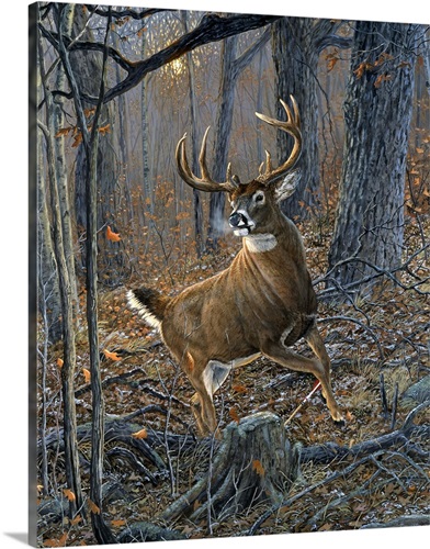 Buck Fever | Great Big Canvas