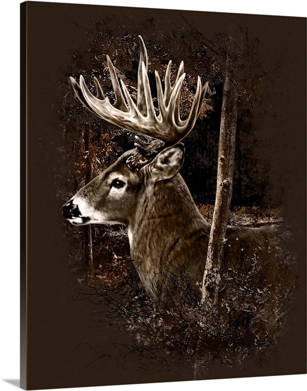 Buck profile | Great Big Canvas