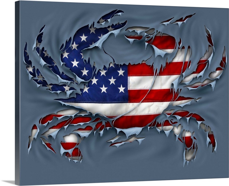 Crab american flag grey | Great Big Canvas