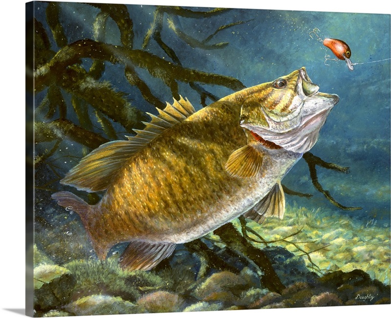 Deep Water Prowler | Great Big Canvas