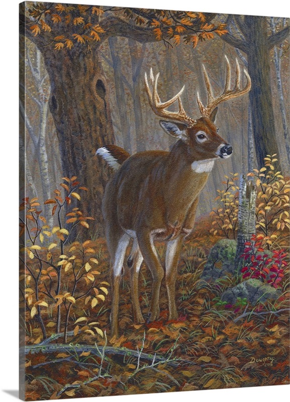 Footsteps In The Forest | Great Big Canvas