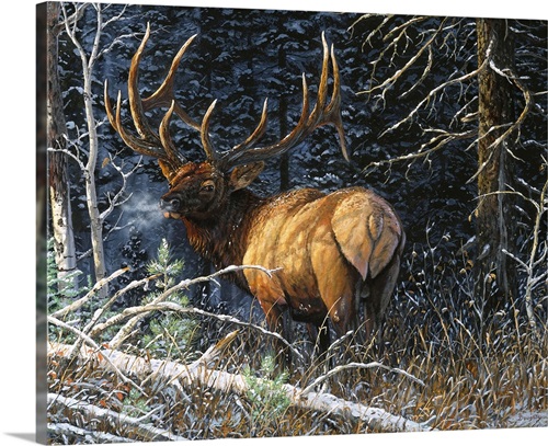 Legacy Bull | Great Big Canvas