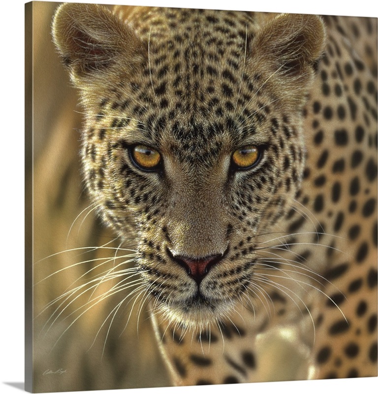 Leopard - On the Prowl - Square | Great Big Canvas