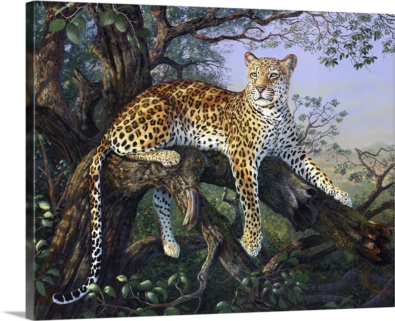 Leopards Domain | Great Big Canvas