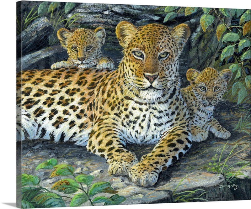 Leopards Lair | Great Big Canvas