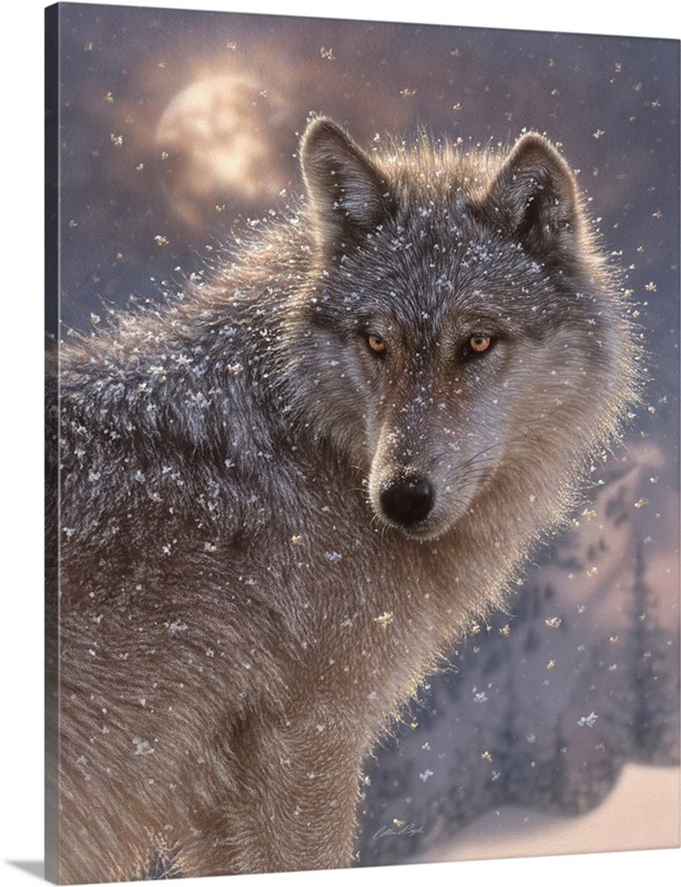Lone Wolf | Great Big Canvas