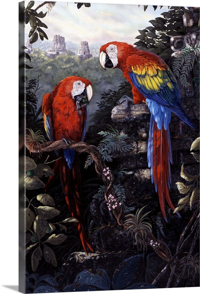 Macaws - Red Wall Art, Canvas Prints, Framed Prints, Wall Peels | Great ...