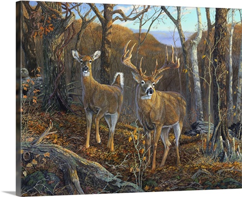 Oak Ridge Trophy Deer | Great Big Canvas
