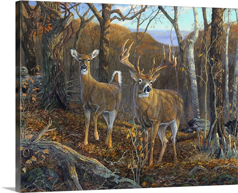 Oak Ridge Trophy Deer | Great Big Canvas