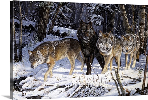 On the Night Trail Wolves | Great Big Canvas