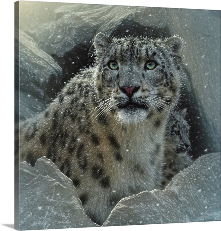 Snow Leopard - The Fortress | Great Big Canvas