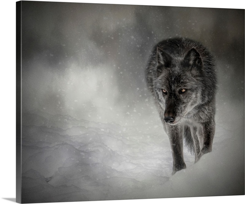 The Lone Journey | Great Big Canvas