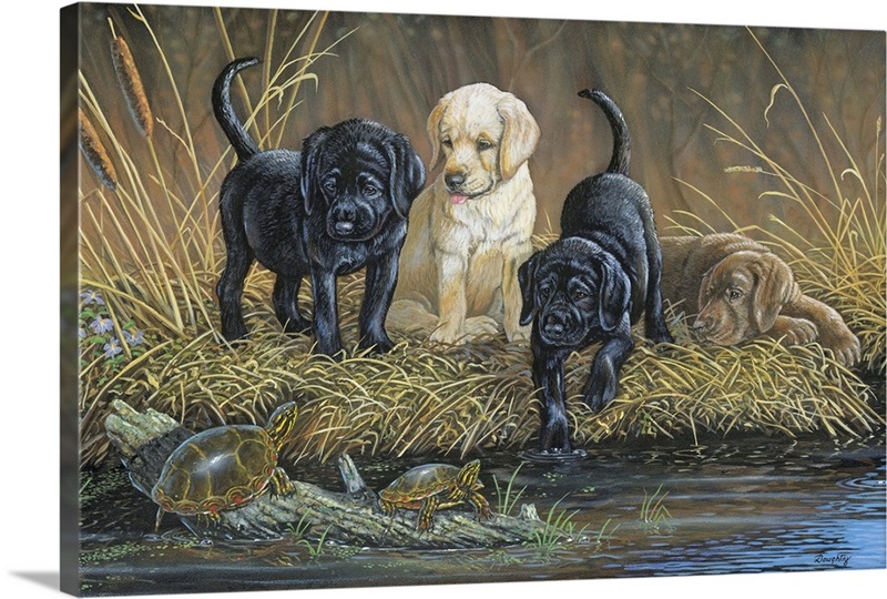 Turtle Hunters | Great Big Canvas