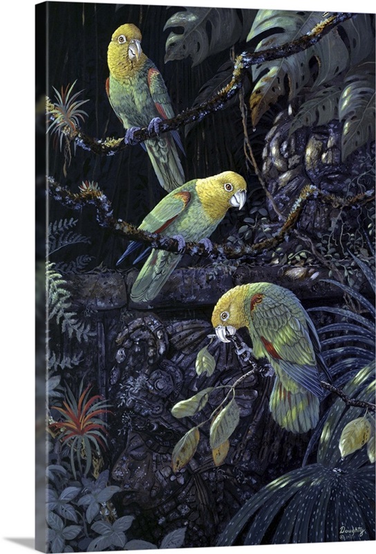 Yellow Headed Amazons | Great Big Canvas