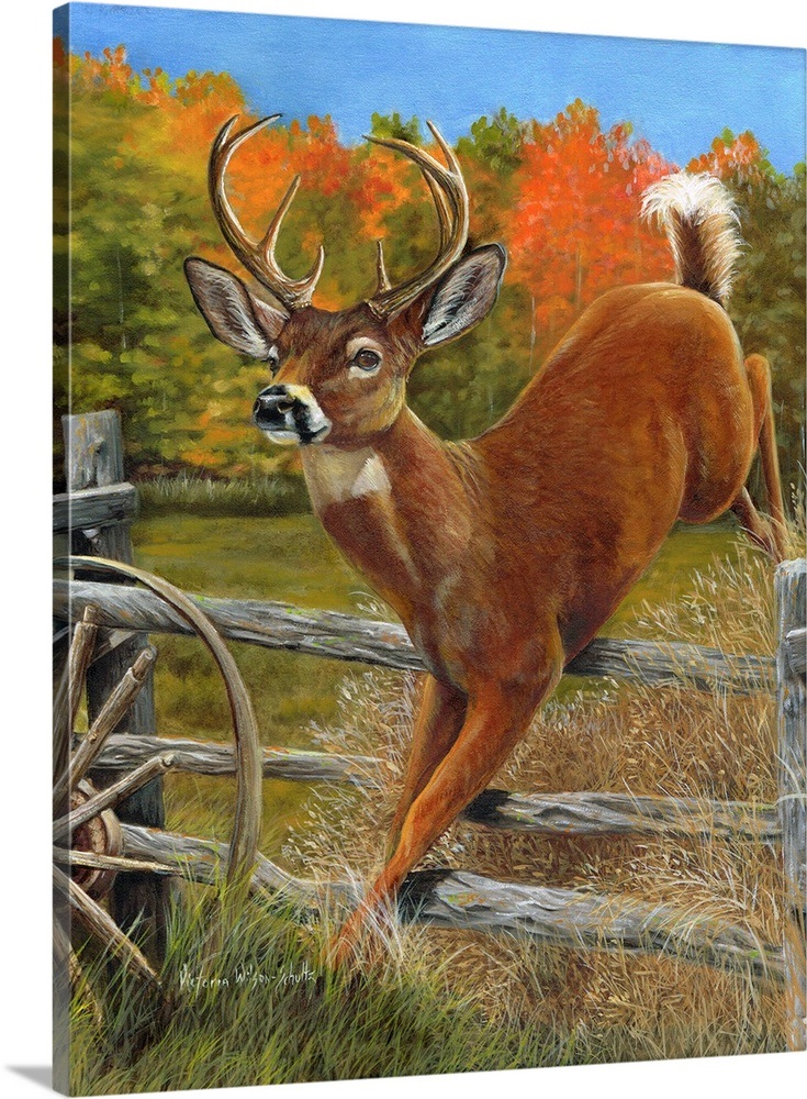 Young Buck Wall Art, Canvas Prints, Framed Prints, Wall Peels | Great ...