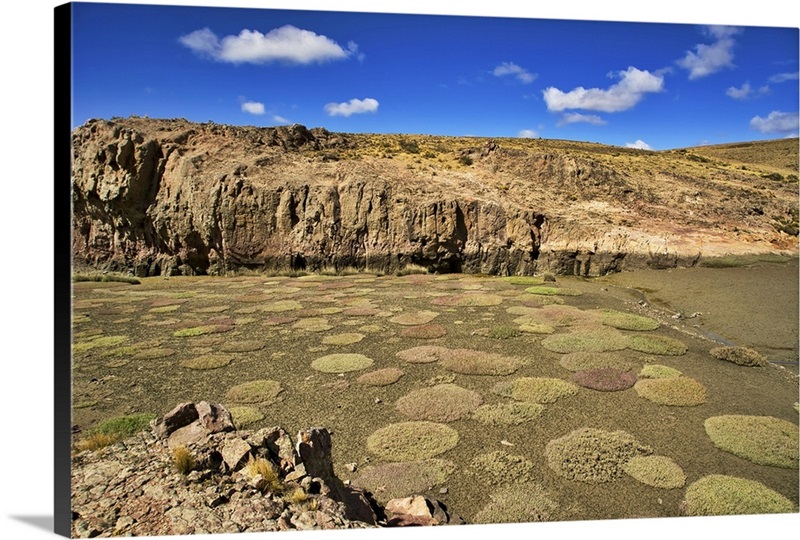 Argentina, Santa Cruz, Puerto Deseado: Along Deseado River Estaury In ...