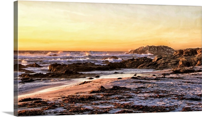 Bird Rock Sunset California Coast | Great Big Canvas