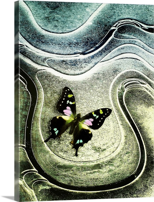 Butterfly Abstract | Great Big Canvas