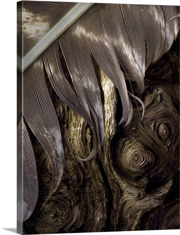 Natures Best Texture | Great Big Canvas