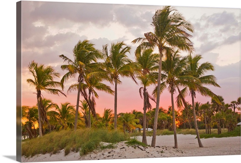 A red glowing sky backlights palm trees at sunset on the beach in Key ...