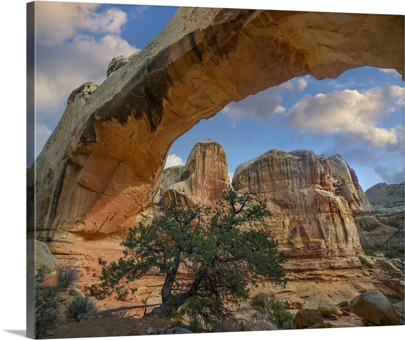 Arch, Hickman Bridge, Capitol Reef National Park, Utah | Great Big Canvas