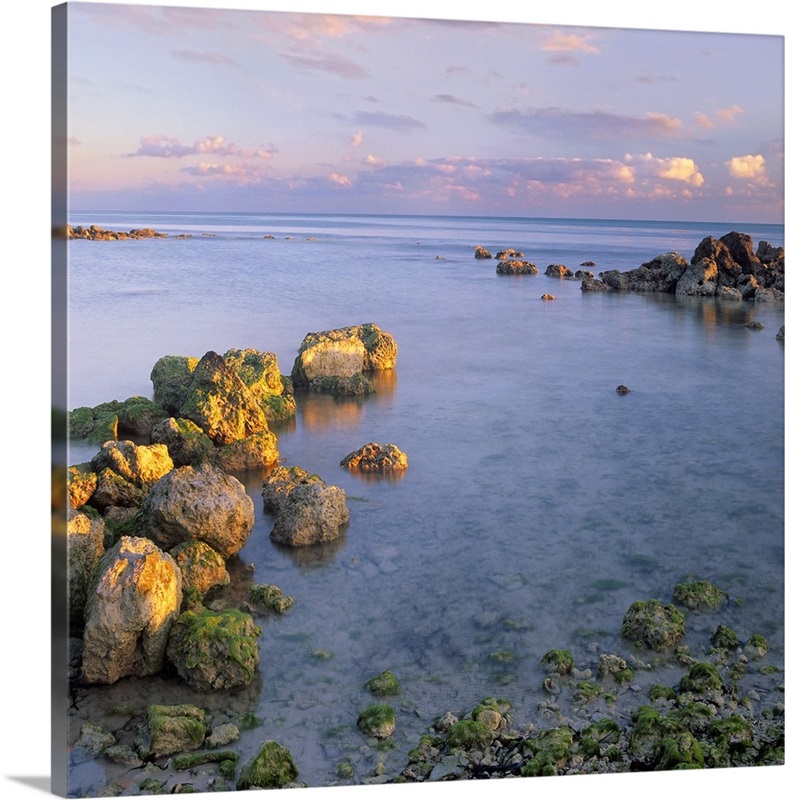 Coastal rocks, Bahia Honda Key, Florida | Great Big Canvas