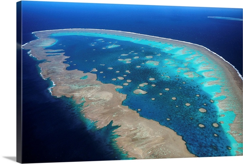Llewellyn Reef, Great Barrier Reef, Queensland, Australia | Great Big ...