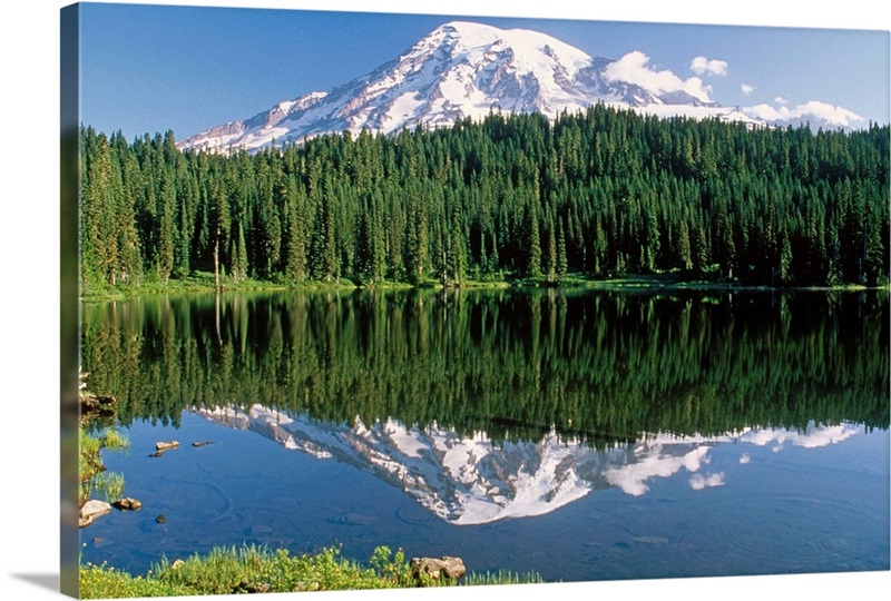 Mt Rainier reflected in lake, Mt Rainier National Park, Washington ...