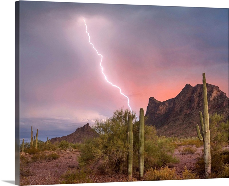 Saguaro Cacti And Lightning, Picacho Peak State Park, Arizona | Great ...