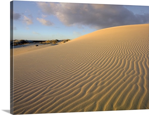 Sand dune, Monahans Sandhills State Park, Texas | Great Big Canvas