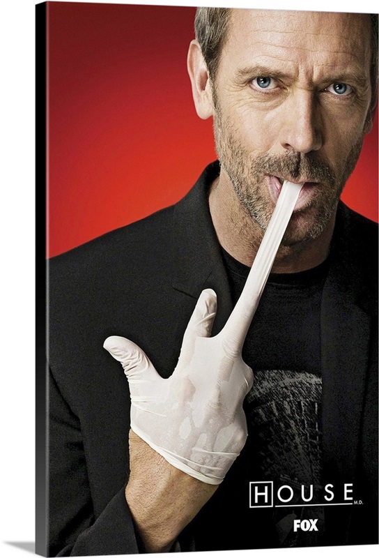 House (TV) (2004) | Great Big Canvas