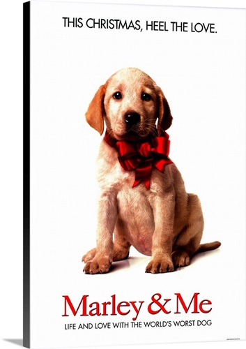 Marley and Me (2008) | Great Big Canvas