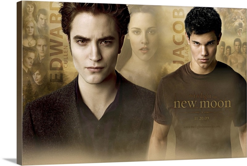 The Twilight Saga: New Moon (2009) | Great Big Canvas