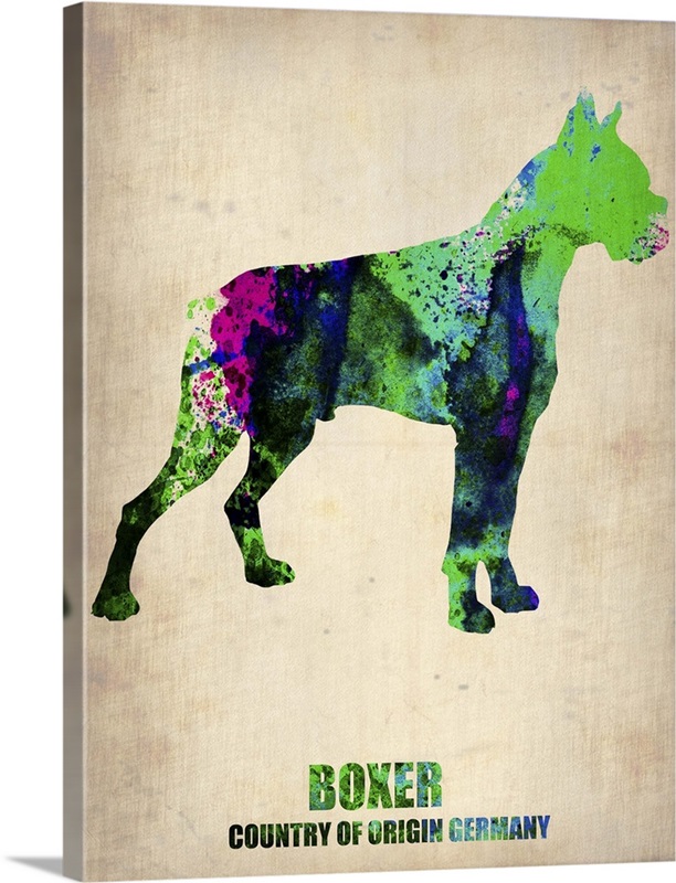 Boxer Poster Poster | Great Big Canvas