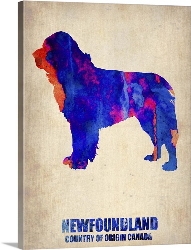 Newfoundland Poster | Great Big Canvas