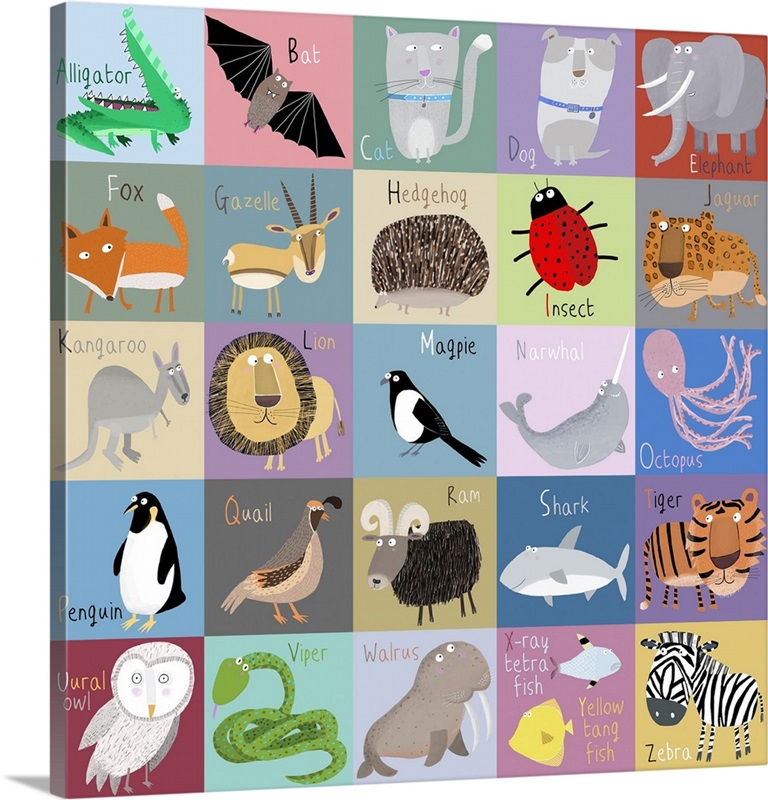 Alphabet Color Square | Great Big Canvas