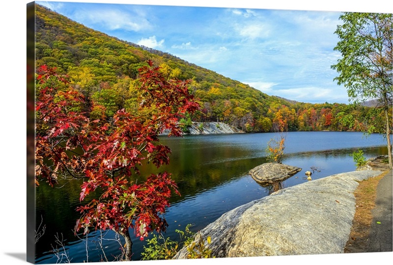 Fall Foliage in Bear Mountain II | Great Big Canvas