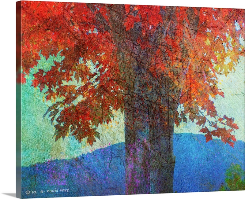 Fall Maple | Great Big Canvas