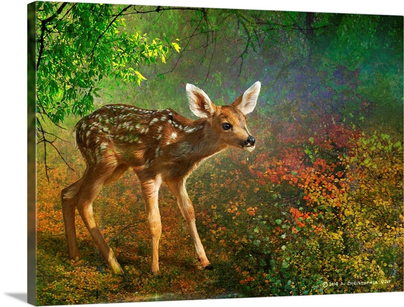 Forest Fawn | Great Big Canvas