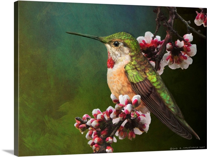 Hummer With Blossoms | Great Big Canvas