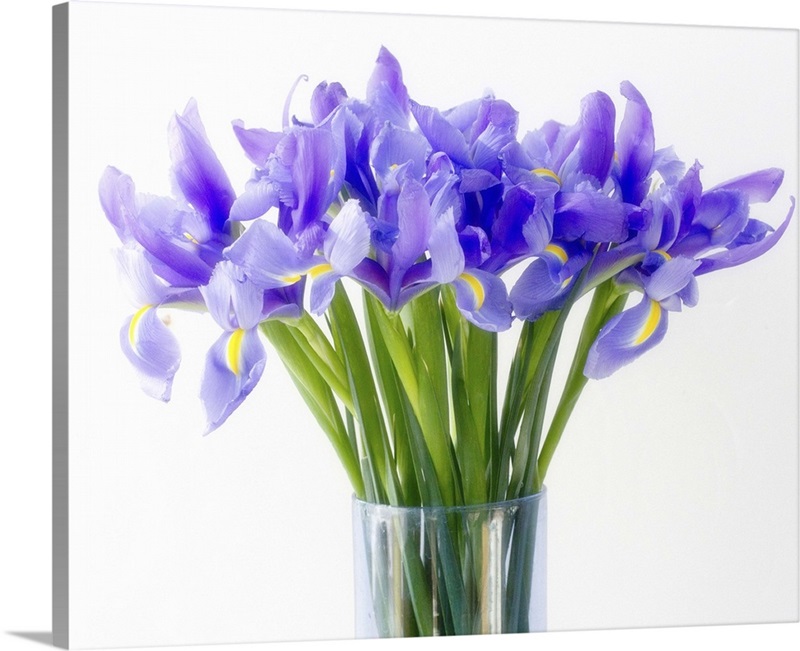 Iris Bouquet | Great Big Canvas