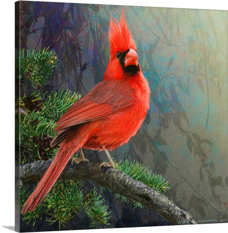 Mountain Cardinal | Great Big Canvas
