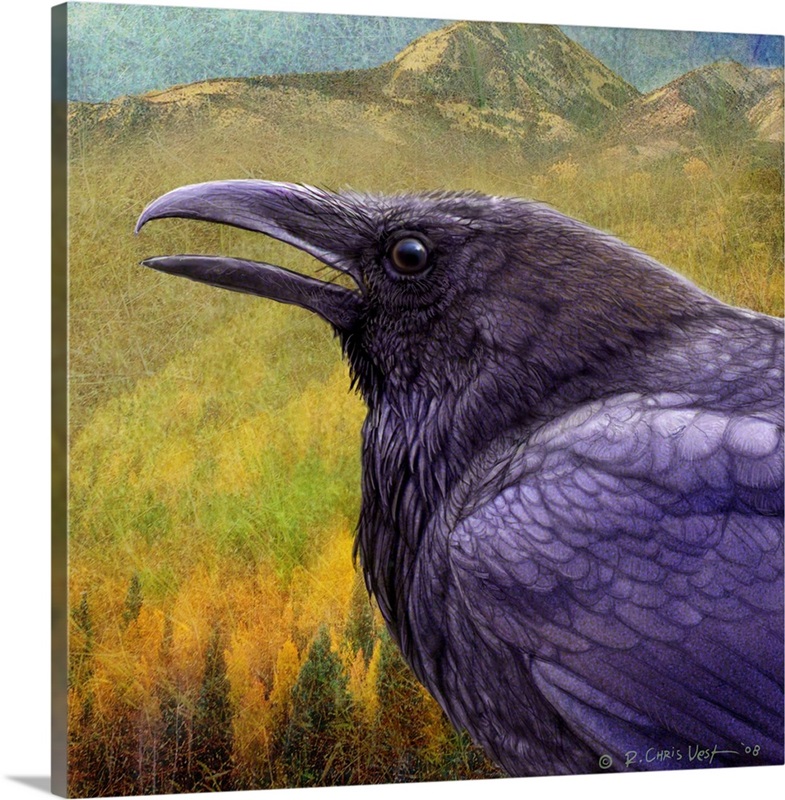 Old Raven Pic | Great Big Canvas