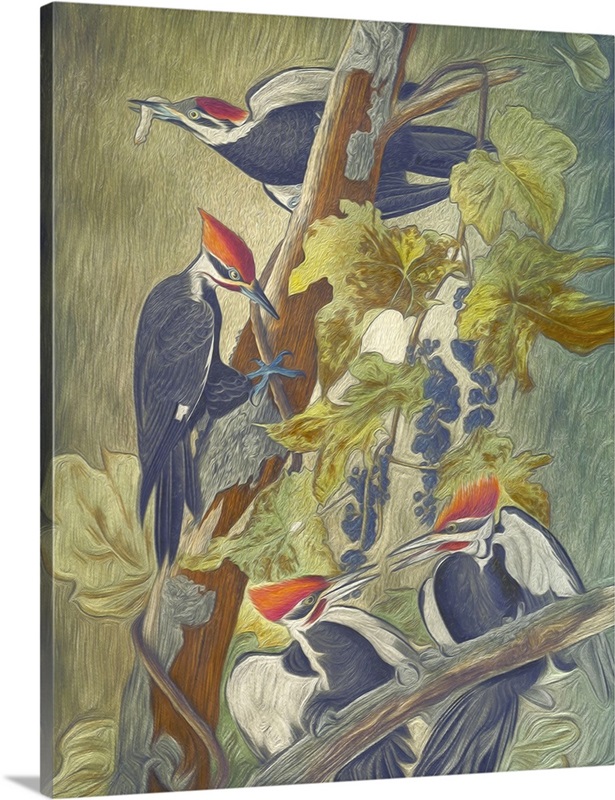 Painted Plumage Four | Great Big Canvas