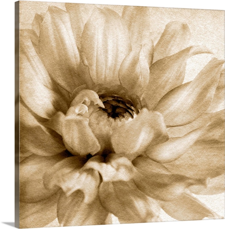 Sepia Flower | Great Big Canvas