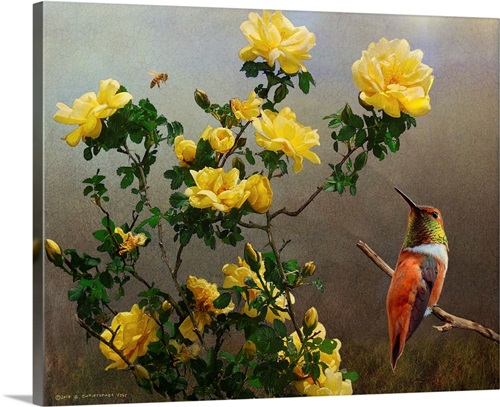 Yellow Roses Hummer | Great Big Canvas