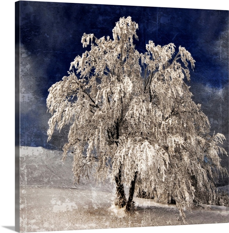 Angel Dust | Great Big Canvas