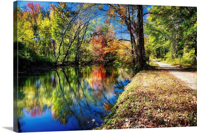 Autumn in Princeton | Great Big Canvas