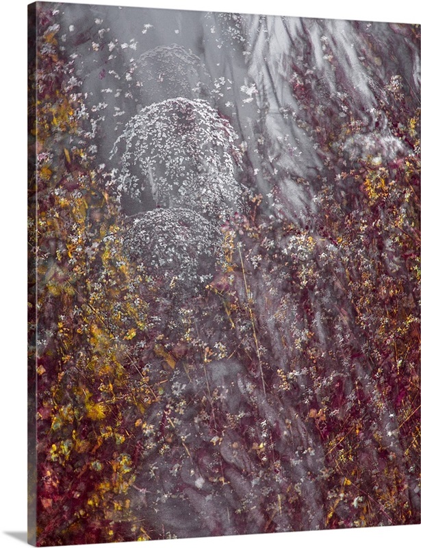 Bittersweet Summer Wall Art, Canvas Prints, Framed Prints, Wall Peels ...