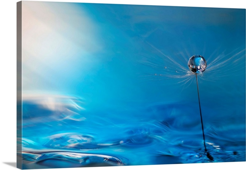 Blue wild river | Great Big Canvas